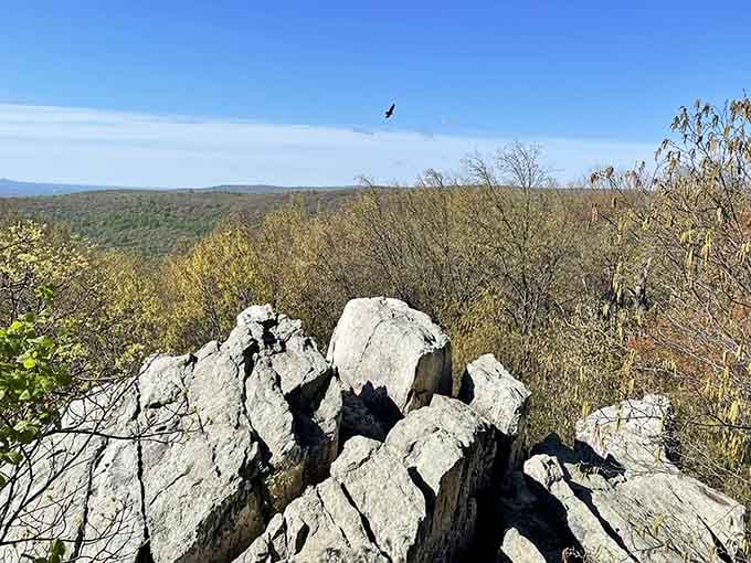 White rocks jut skyward like nature's sculpture garden, framing valleys painted in autumn's finest brushstrokes.
