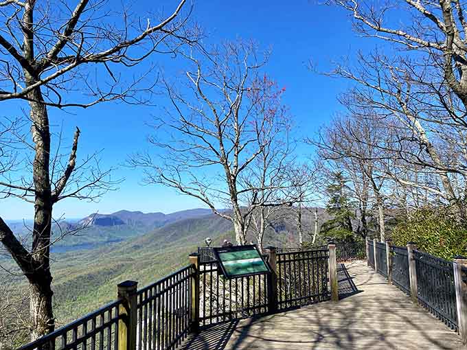 This observation deck offers front-row seats to nature's grandest show, where bare trees frame spectacular mountain panoramas.