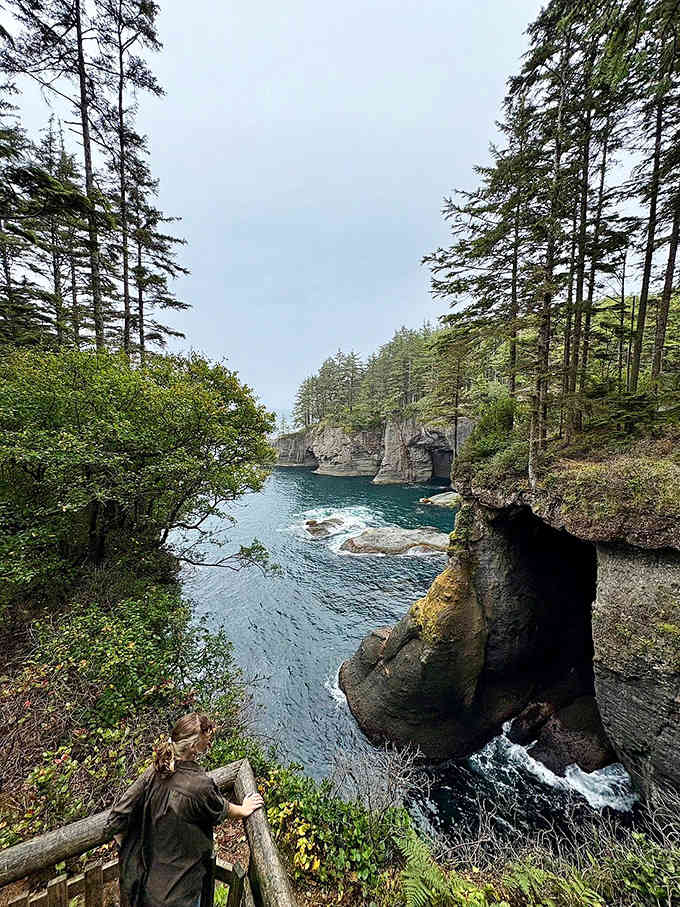 Forest-framed cliffs embrace this hidden cove where waves whisper secrets only the trees can hear clearly.