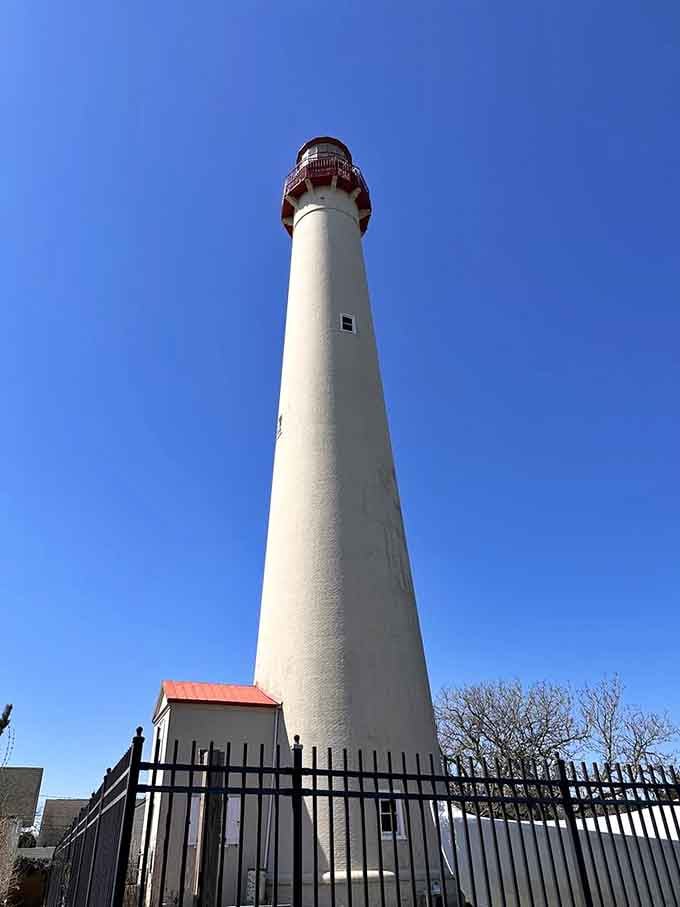 Cape May's slender white tower with its cheerful red cap stands like a welcoming friend at the state's southern tip.