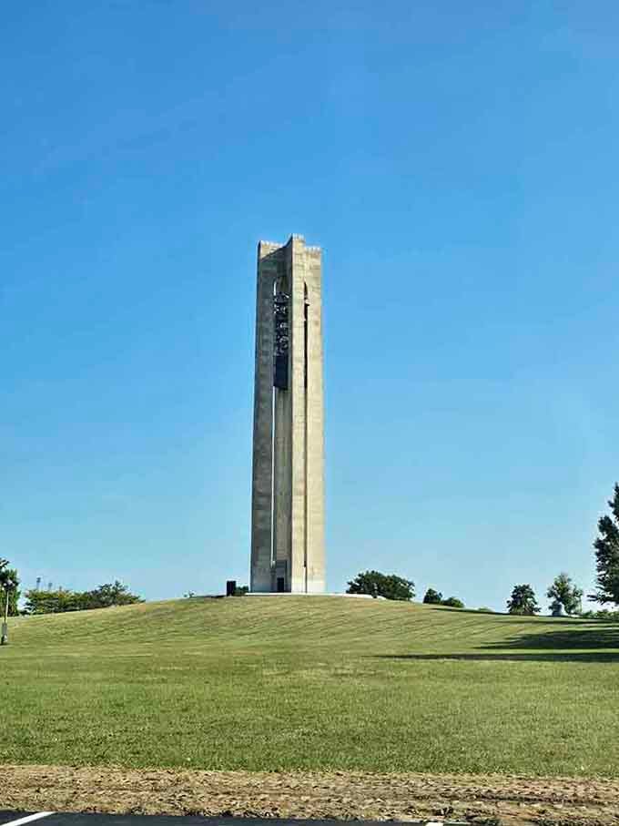 That blue sky frames the carillon tower perfectly, standing tall as a monument to Dayton's remarkable heritage.