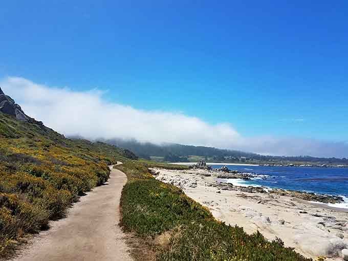 Morning mist rolls over the coastal path, creating an atmosphere so serene you'll forget the rest of the world exists.