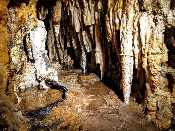 These towering limestone columns create cathedral-like spaces that make you whisper in reverence to ancient geology.