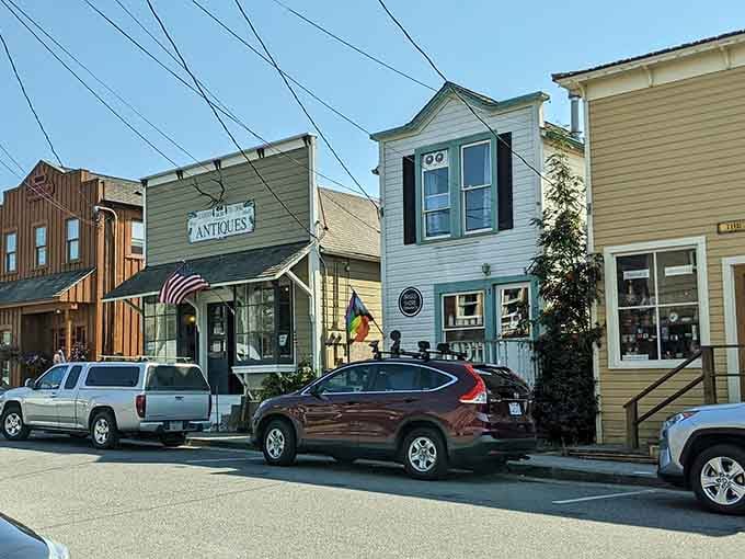 Historic storefronts line streets where antique hunters discover treasures and time moves a little slower.