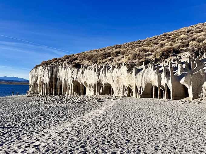 Geometric patterns crown each pillar, creating a natural architecture that would make any designer jealous of nature's precision work.