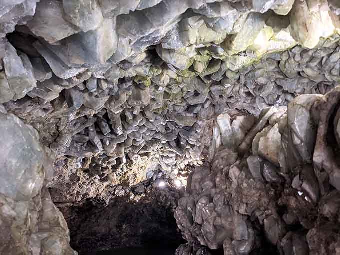 Crystal formations cluster like frozen flowers on cave walls, nature's patient artwork spanning thousands of years.