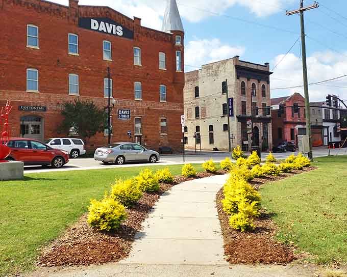 Bright yellow flowers lead you downtown like nature's own welcome mat for budget-conscious retirees.