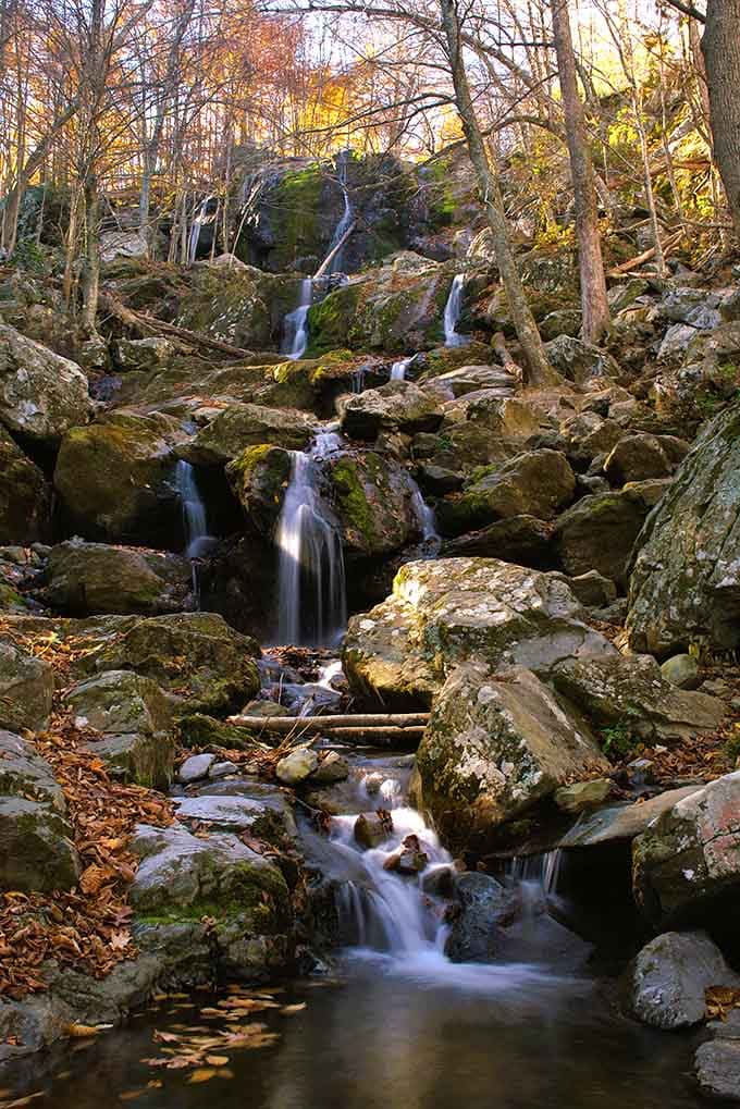 Golden hour light filters through bare branches as water cascades over moss-covered rocks in nature's own symphony performance.