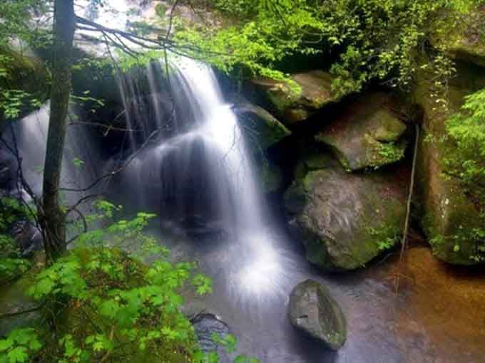 Water cascades gracefully over ancient rocks, creating a symphony of sound that soothes the soul instantly.