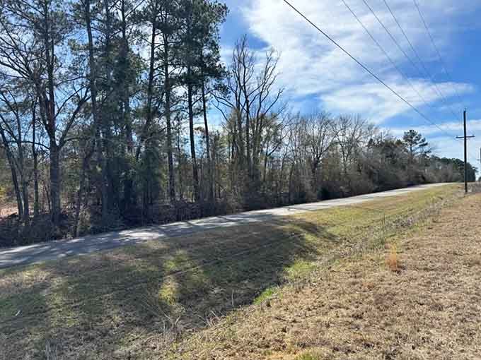 Morning light filters through bare trees along this quiet country road that time seems to have forgotten.
