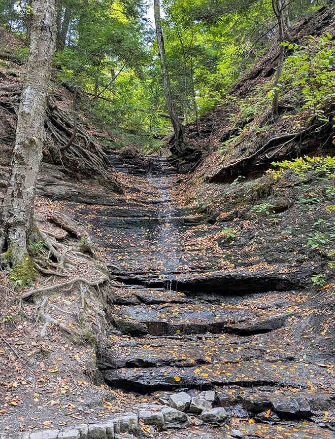 Stone steps carved by time lead down into the gorge where water and fire coexist in peaceful rebellion.