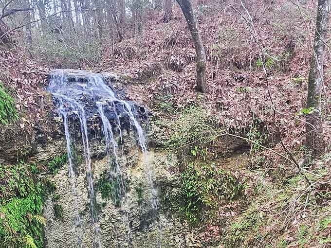 Water tumbles down into the sinkhole below, proving that Florida does have waterfalls if you know where to look.