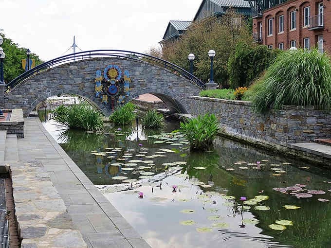 This decorative stone bridge over the lily pond adds European flair to Frederick's downtown, making ordinary walks feel extraordinary.