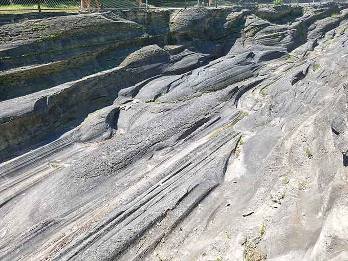 These ancient scratches tell the story of ice age giants moving across the landscape like slow bulldozers.