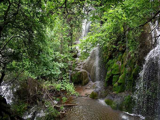 The emerald moss creates a living tapestry on the cliff face, fed by cool spring water year-round.