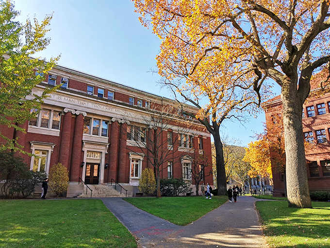 Golden autumn leaves frame these stately academic buildings, proving that even studying looks better when surrounded by nature's paintbrush.