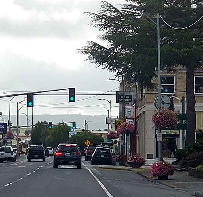 Hanging flower baskets brighten the street while your bank account stays bright too&mdash;now that's a win-win situation.