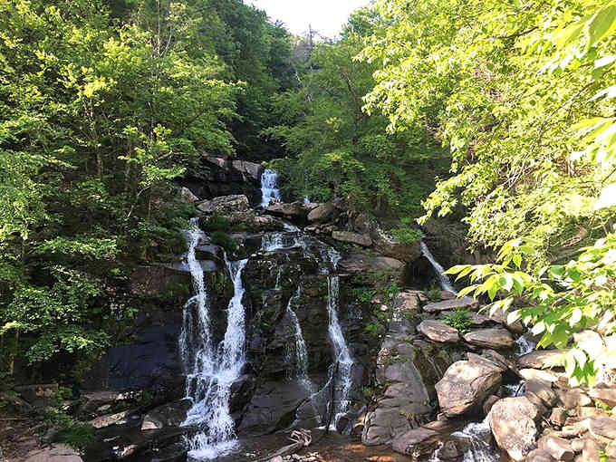 Three streams of water tumble over dark rocks, creating nature's own fountain show surrounded by summer greenery.