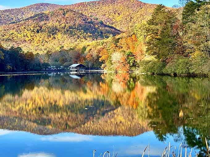 The mountains embrace this peaceful lake like a postcard that somehow escaped into real life completely.