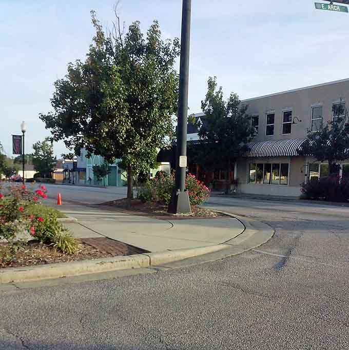 Flowering beds and mature shade trees soften the streetscape, creating natural gathering spots for neighbors to pause and chat.