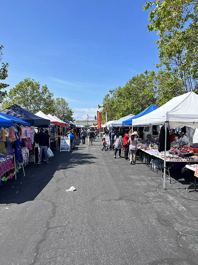 Rows of white and blue tents stretch into the distance, each one hiding treasures waiting to be discovered.