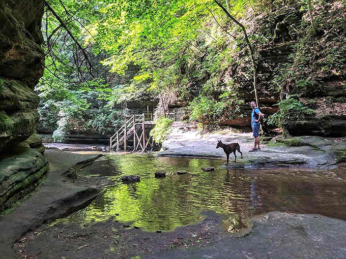 The wooden boardwalk leads you through this enchanted canyon where every dog knows this beats any city park.