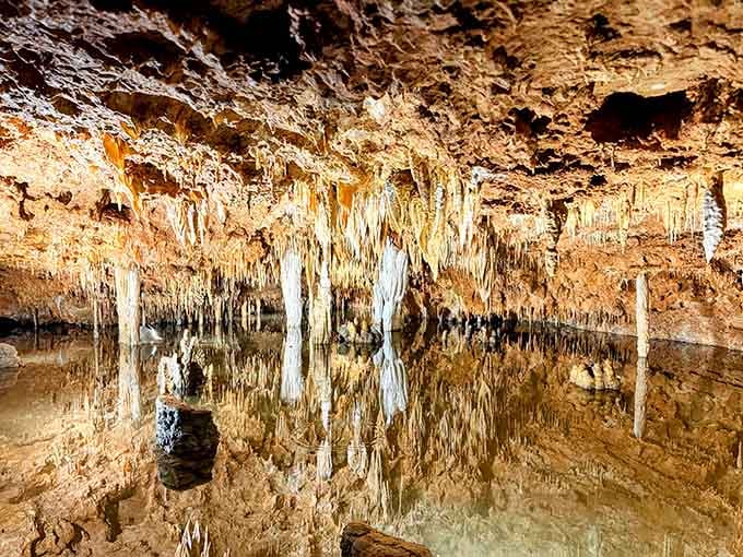 Golden lighting illuminates the cathedral-like cavern where stone formations have grown for millions of patient years.