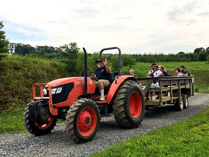 That orange tractor's hauling happy passengers through farmland that stretches beyond the horizon &ndash; pure country magic.
