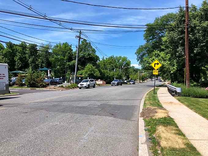 Peaceful residential roads wind through green spaces that make you forget you're minutes from major highways.