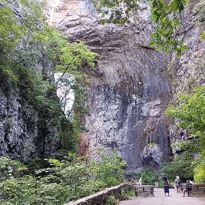 The sheer scale of this natural bridge humbles visitors who walk the path below its ancient limestone span.