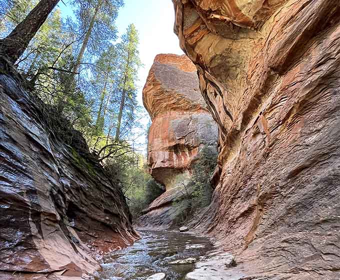 Walk through narrow canyon passages where towering red walls meet cool creek waters along the scenic West Fork Trail.