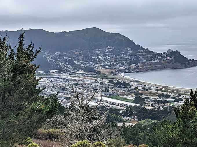 Perched between misty mountains and crashing waves, this town understands the art of dramatic coastal living perfectly.