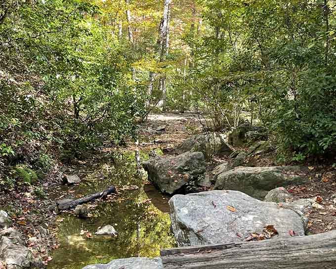 A gentle creek meanders past smooth boulders, offering the kind of tranquil scenery that makes worries simply evaporate.