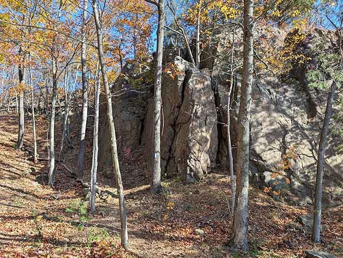 Massive rock formations rise like ancient monuments among the trees, proving Mother Nature's the ultimate sculptor here.