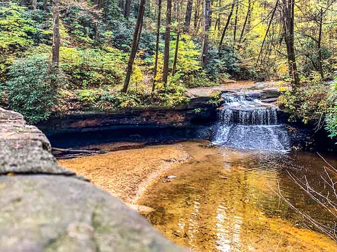 Golden pools reflect autumn colors in this hidden cascade, where the water glows like liquid amber.