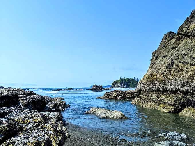Tide pools between weathered rocks create natural aquariums teeming with colorful marine life waiting to be discovered.