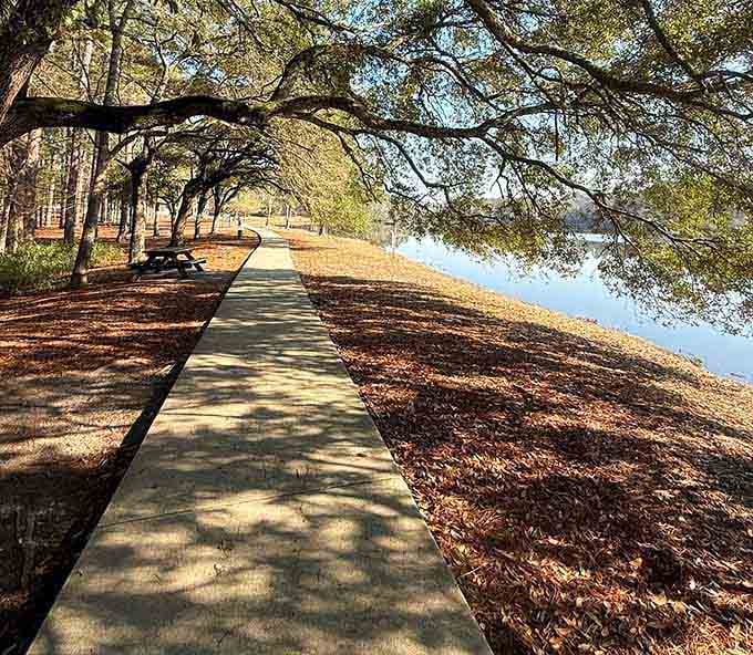 A lakeside path winds beneath graceful oak branches, offering shade and serenity with every peaceful step forward.
