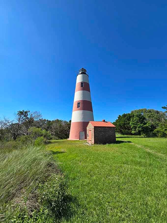 Surrounded by wild grasses and open sky, this candy-striped tower stands proud in its natural island setting.