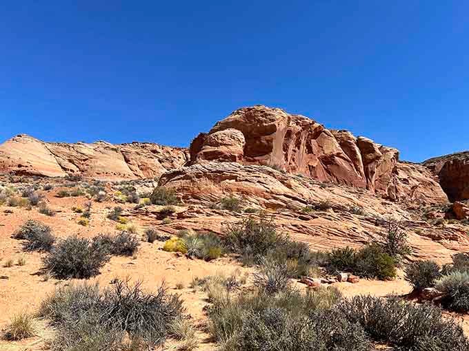 Rising from golden sand like a natural sculpture gallery, these layered formations prove patience creates the most stunning masterpieces.