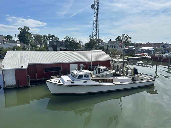 Working boats bob gently in the harbor, reminding visitors that island life still revolves around the Chesapeake's bounty.