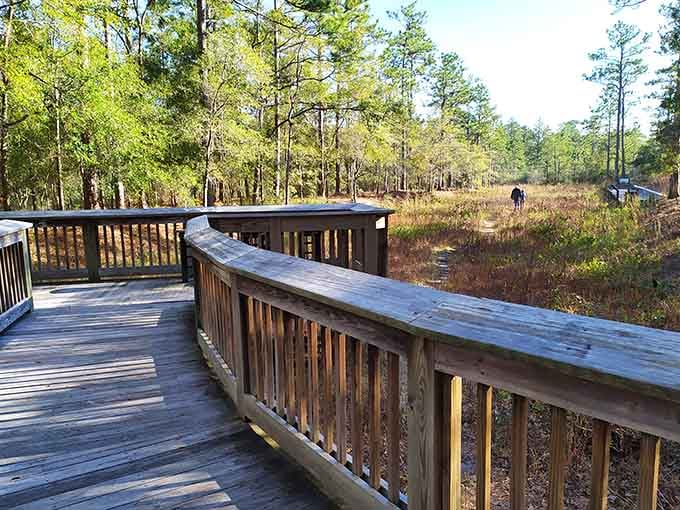This wooden boardwalk leads adventurers through a carnivorous wonderland that Darwin would adore.