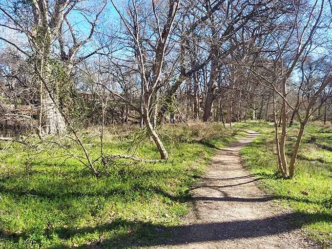 A peaceful trail winds through bare winter trees, inviting you to take that morning walk your doctor keeps recommending.