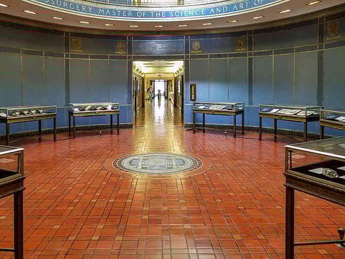 The grand rotunda showcases centuries of medical history with the elegance of a European palace library.