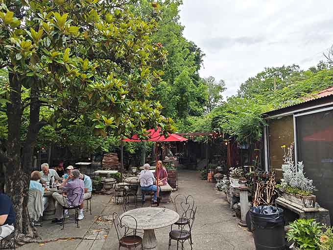 That secret garden patio proves the best dining experiences often hide in the most unexpected, beautiful places.