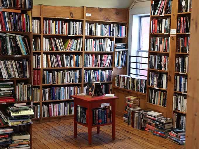 Floor-to-ceiling shelves packed with used books invite you to lose entire afternoons browsing forgotten titles and treasures.