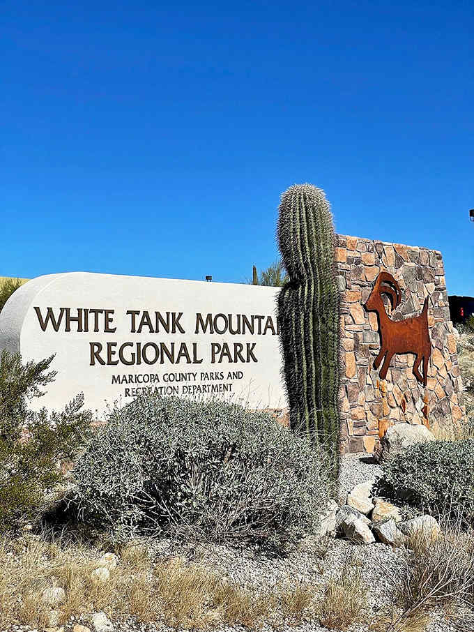That park entrance sign promises adventures ahead, with its cheerful bighorn sheep welcoming desert explorers inside.