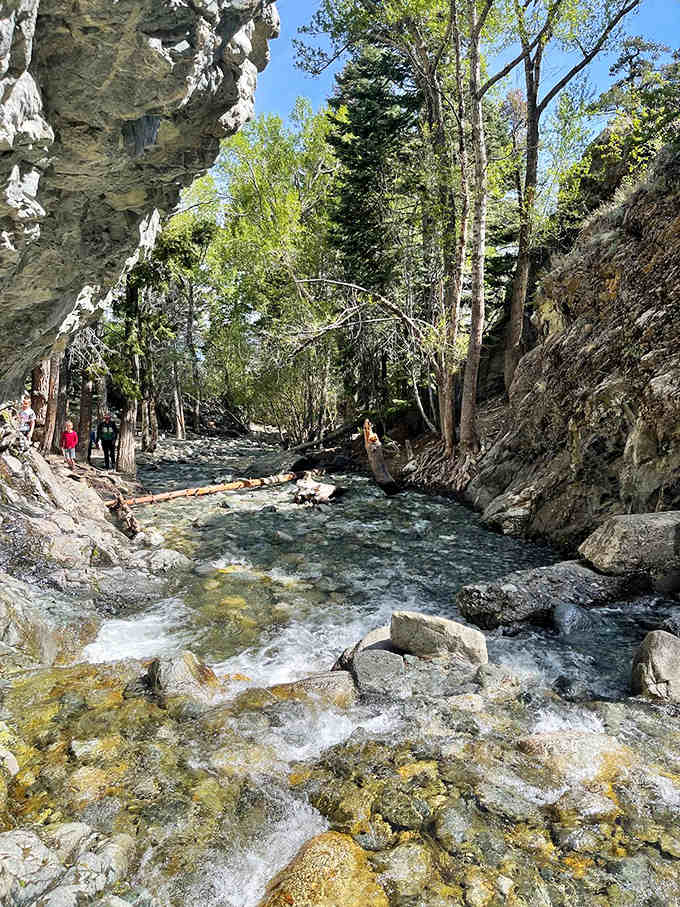 The creek winds through towering rock walls and lush greenery, creating a secret mountain hideaway worth exploring.