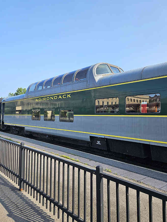 The vintage coaches gleam with care, proving some things only get better with proper attention and age.