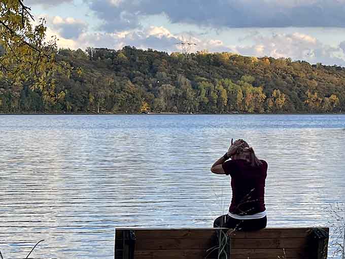 Sometimes the best view requires nothing more than sitting still and letting the world show off a little.