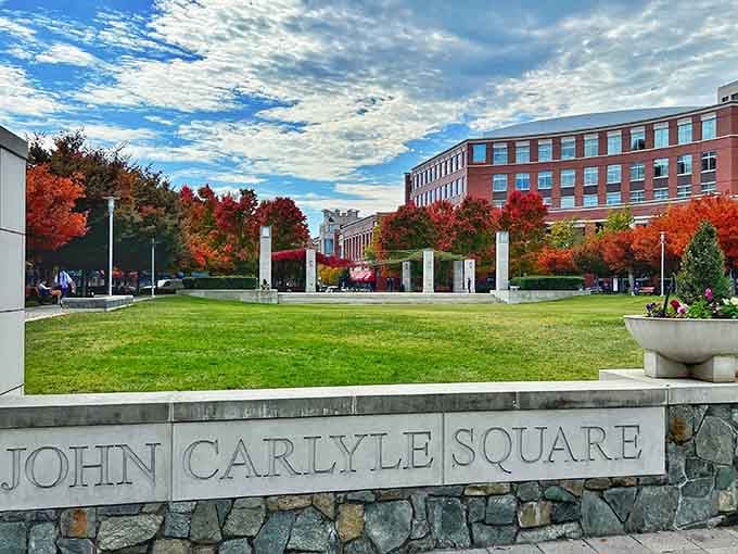 John Carlyle Square offers green space and fall foliage that makes you forget you're minutes from the nation's capital.